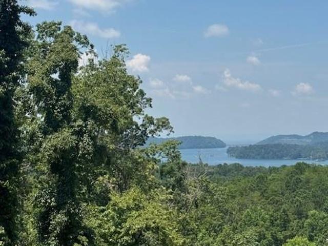 0 Carters View Dr, Ellijay, GA 30540 | MLS #7695