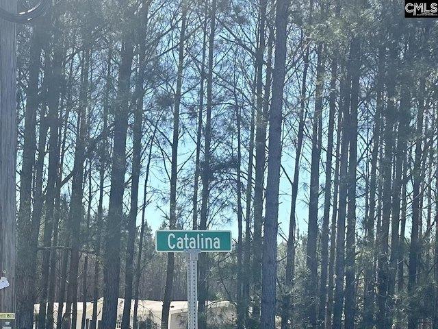 0 Catalina Blvd, Swansea, SC 29160
