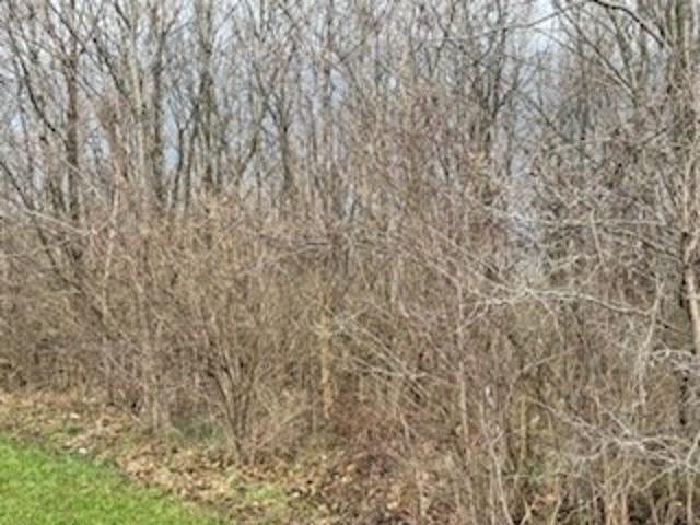 0 Cattail Road