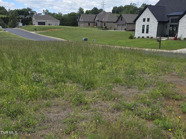 0 Cattlemans Trail