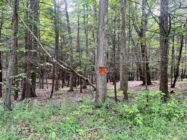 0 Cayuga Heights Rd, Ithaca, NY 14850
