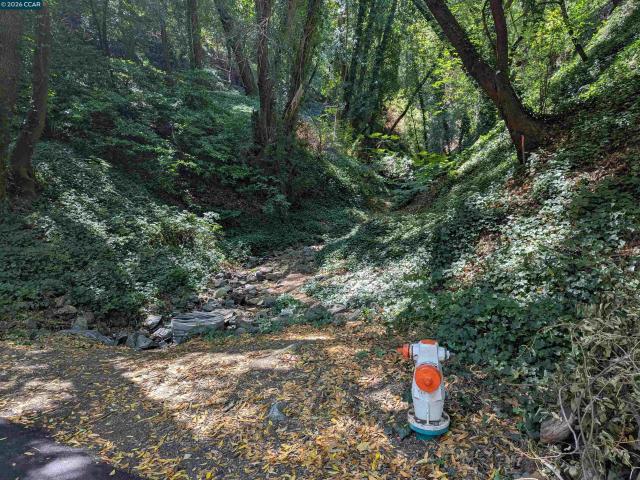 0 Cañon Dr, Orinda, CA 94563 | MLS #41122