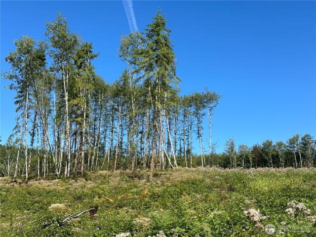 0 Cedar Creek Road