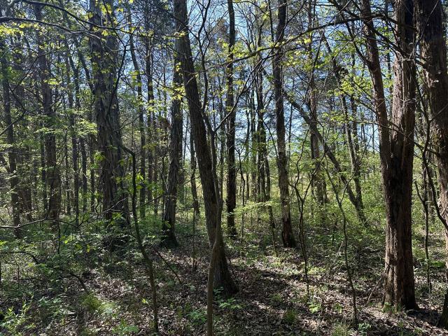 0 Cedar Grove Rd S