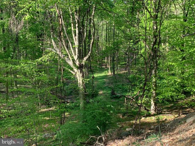 0 CED Cedar Grove Road