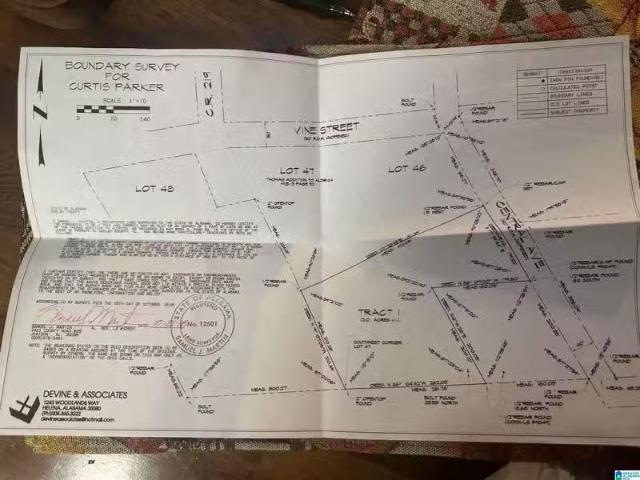 0 CENTRAL AVENUE # 0, MONTEVALLO, AL 35115