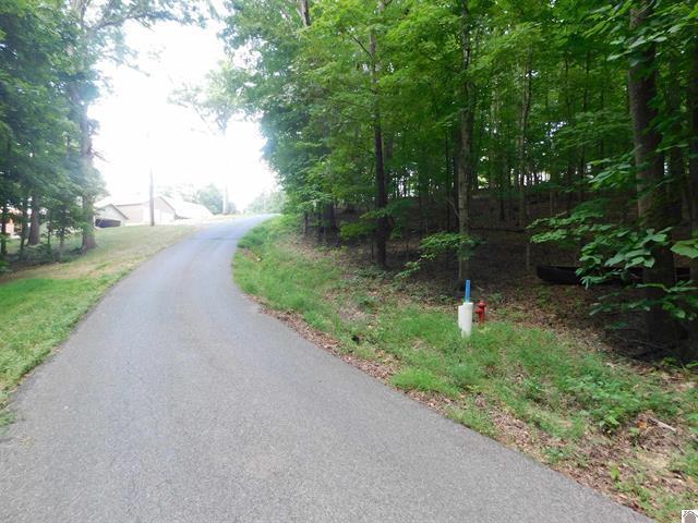 0 Champion Hills Road # Lots 81, 82, 83