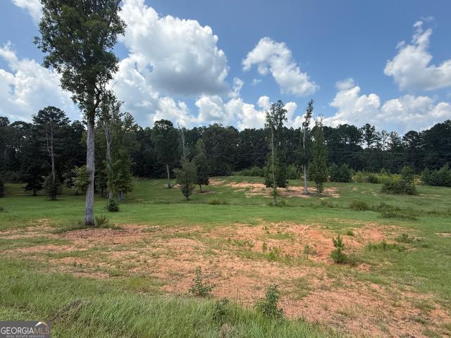 0 Champions Dr, Unit LOT C5, Forsyth, GA 31029 | MLS #10718
