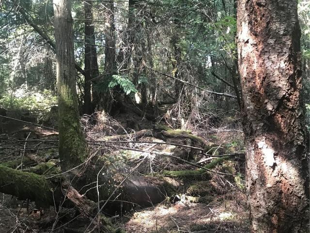 0 Channel Rd, Lopez Island, WA 98261 | MLS #2377