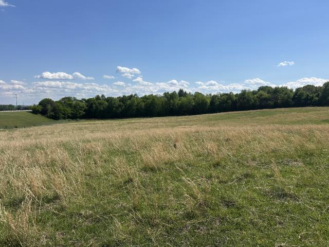 0 Charles Golden Rd