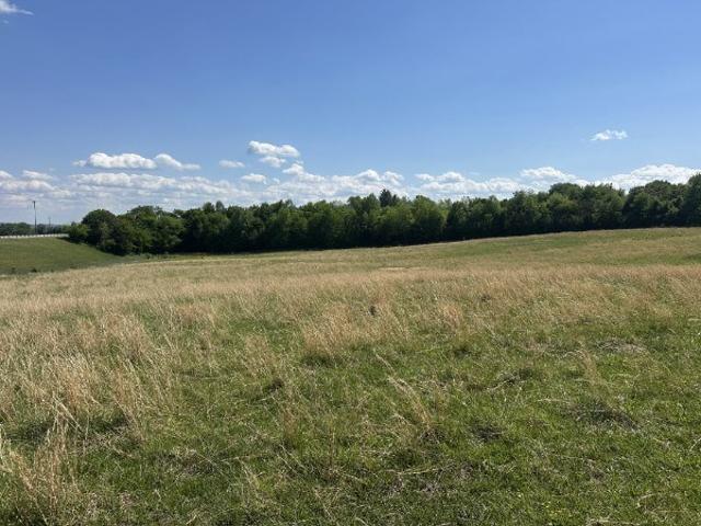 0 Charles Golden Rd