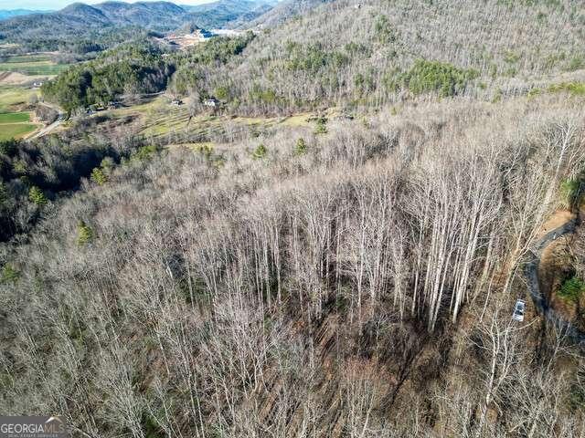 0 Chestnut Mountain Drive