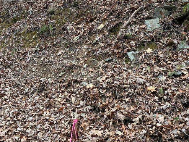 0 Chestnut Mountain Road