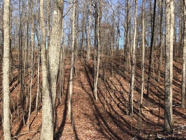 0 Chestnut Oak Drive