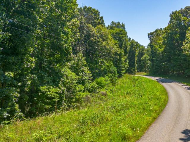 0 Chestnut Ridge Rd, Columbia, TN 38401 | MLS #2675 | Compass