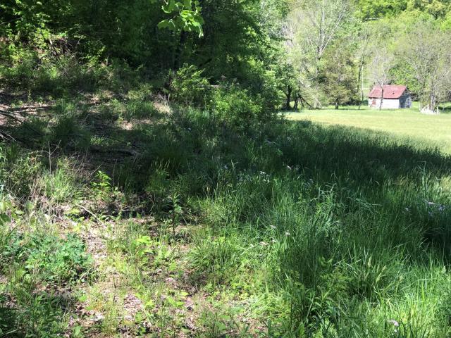 0 Chesnut Grove Road