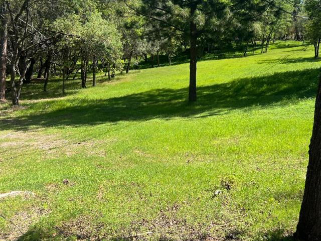 0 China Garden Rd, Placerville, CA 95667 | MLS #226036