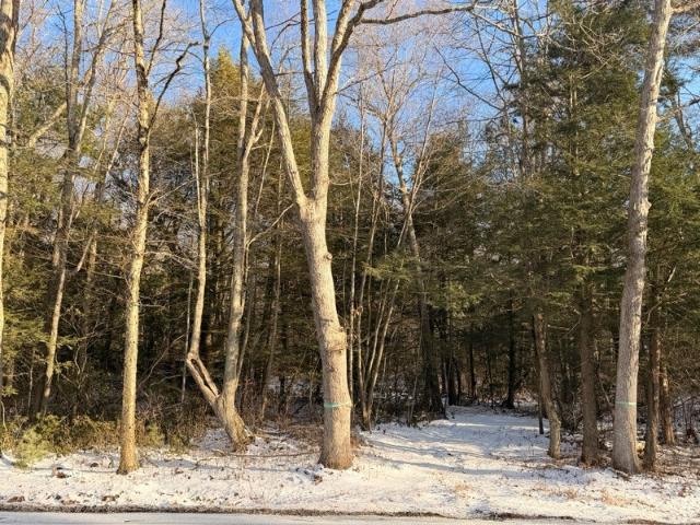 0 Chopmist Hill Rd, Glocester, RI 02814 | MLS #1410