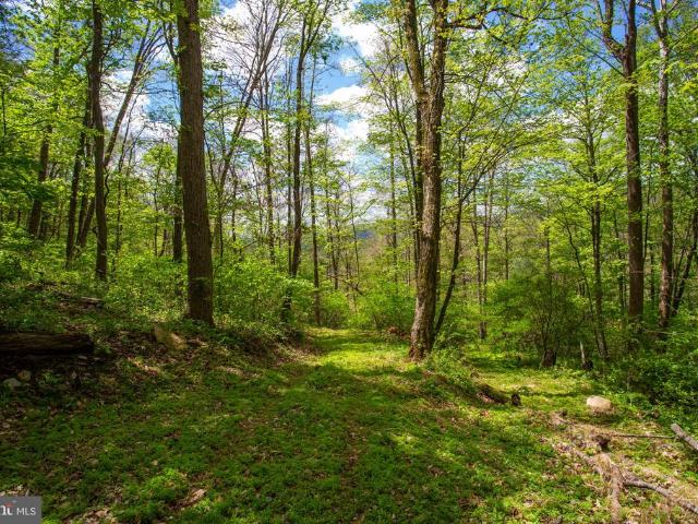 0 Church Mountain Lane