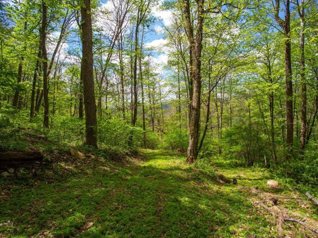 0 church mountain ln