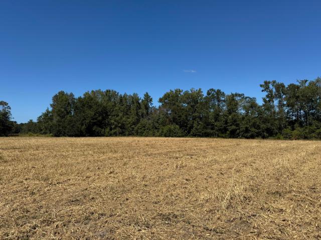 0 Clarks Hill Dr, Unit 5, St. George, SC 29477 | MLS #25027 | Compass