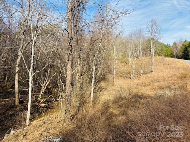0 Clearwater Pkwy, Unit 238, Rutherfordton, NC 28139 | MLS #4222