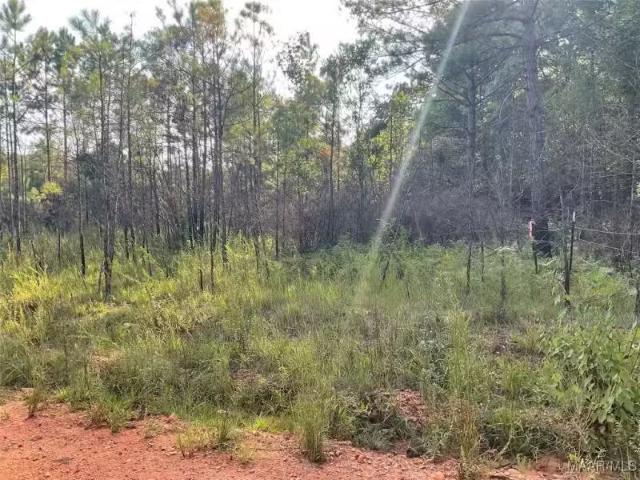 0 CLEGHORN DRIVE, TALLASSEE, AL 36078 Vacant Land For Sale ML.