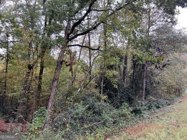 0 Clinton Crossing