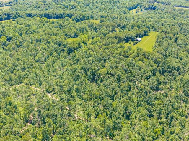 0 Clifty Hollow Road