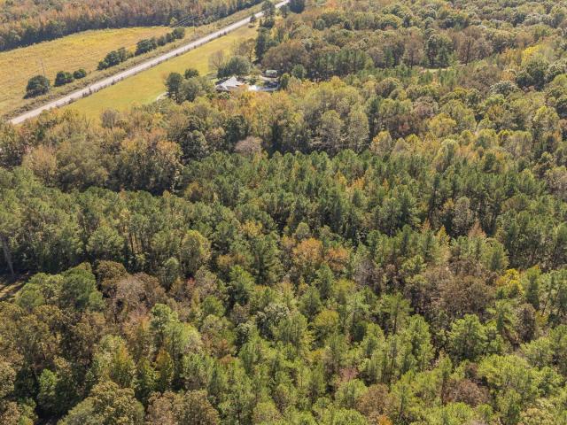 0 Cliffview Rd, Bolivar, TN 38008 | MLS #10220