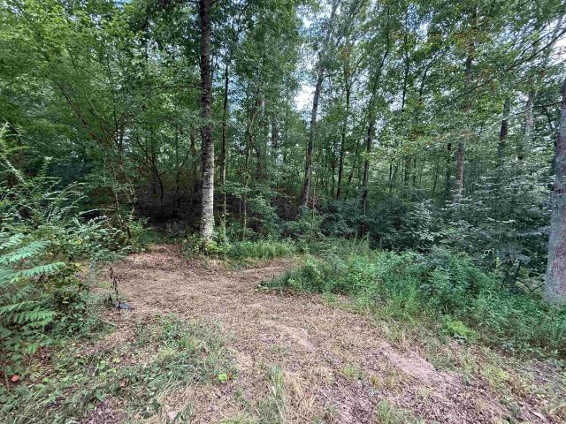 0 Co Rd 1606
