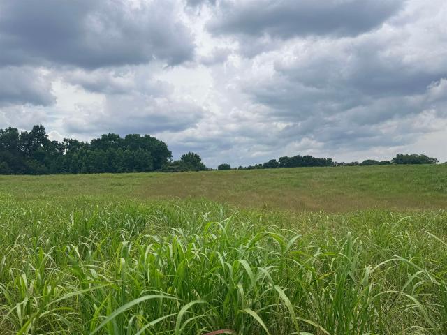 0 Co Rd 1682