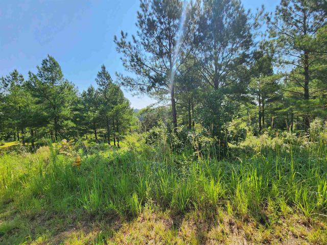 0 Co Rd 373 # Lot 26