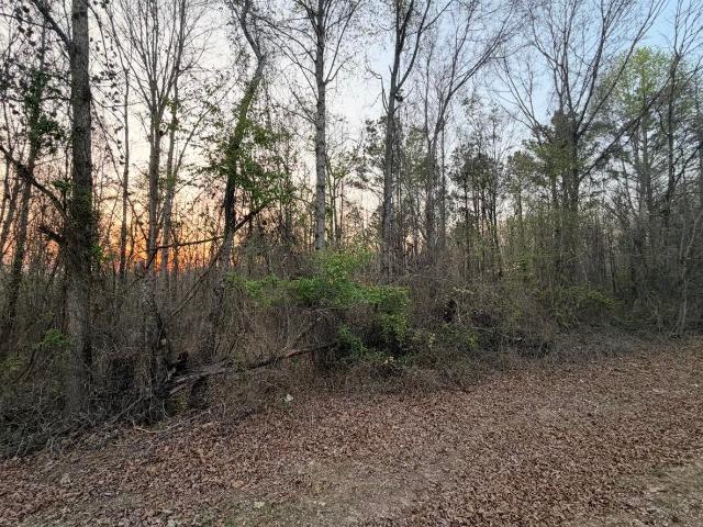 0 Co Rd 436