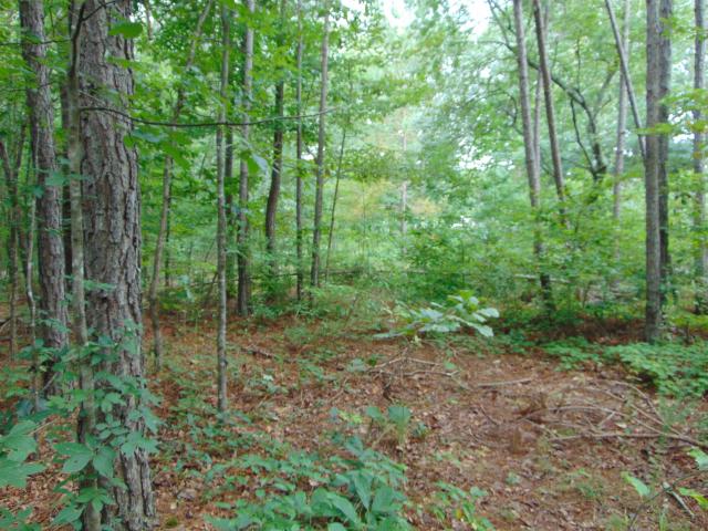 0 Co Rd 87