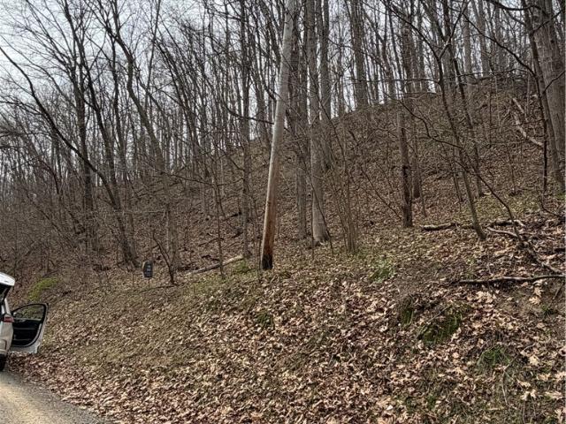 0 Coal Bank Hollow Rd