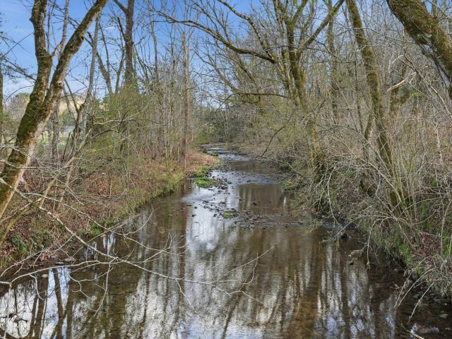 0 Cobb Hollow Rd