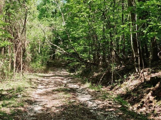 0 Coburntown Lot 13 Road