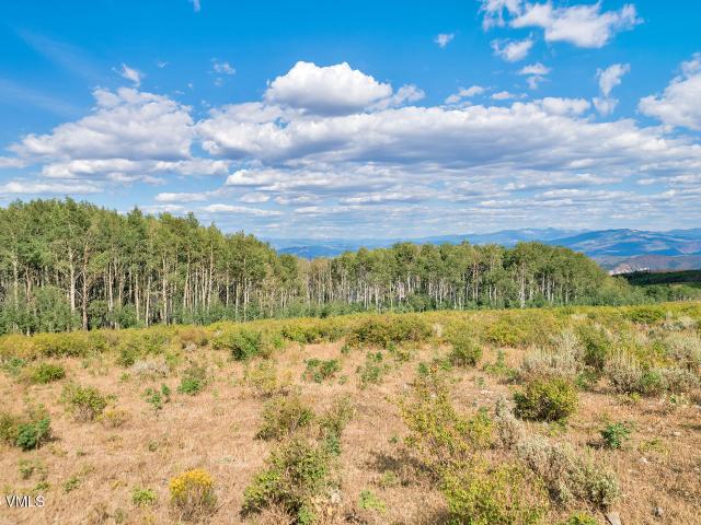 0 Coffee Pot Rd, Gypsum, CO 81637 | MLS #1012