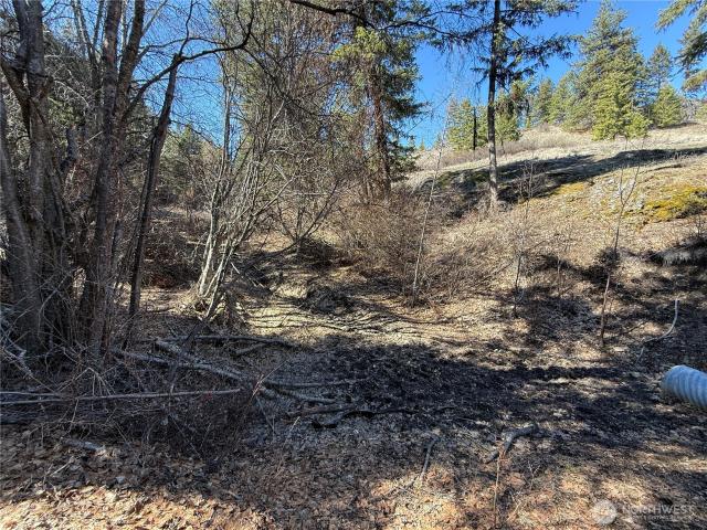 0 Coogan Creek Road