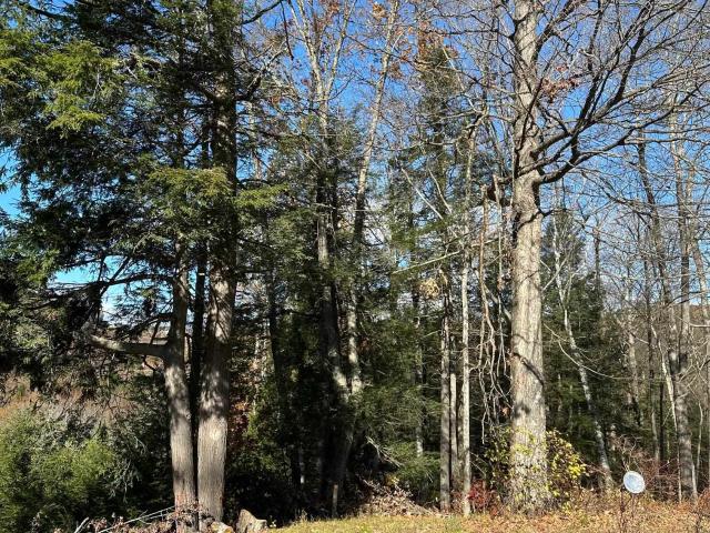 0 Cooke Rd, Brattleboro, VT 05301 | MLS #5068 | Compass