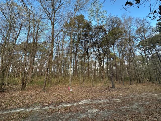 0 Cooke Rd, Unit LOT 1, Johns Island, SC 29455 | MLS #26007