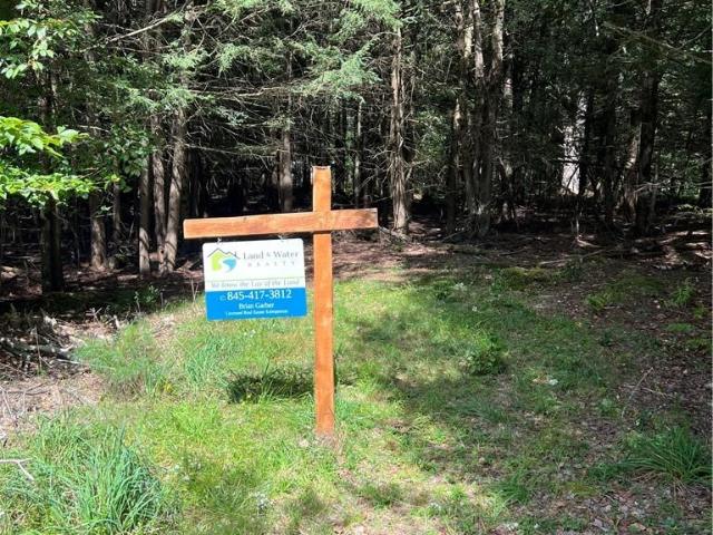 0 Cooper Drive Rd, Swan Lake, NY 12783 | MLS #963497