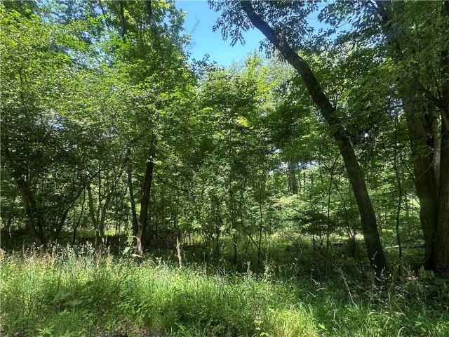 0 Cooperstown Rd