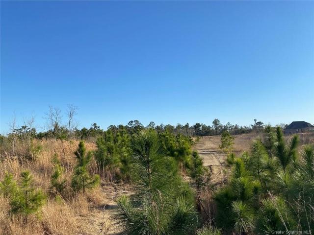 0 College Heights Lake, Charles, LA 70605 | MLS #SWL25000
