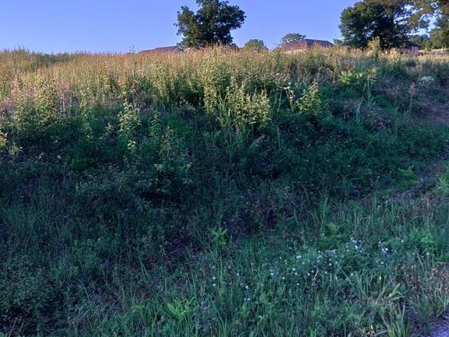0 Collins Run lot 51 & 52