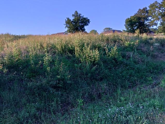 0 Collins Run