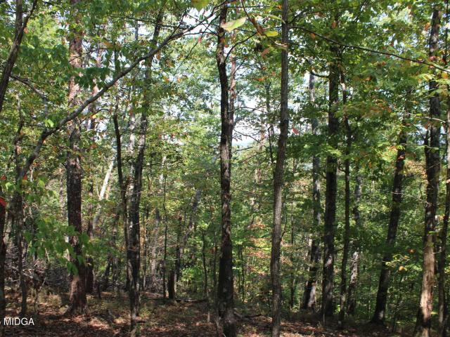 0 Conniston Rd, Chatsworth, GA 30705 | MLS #181510 | Compass