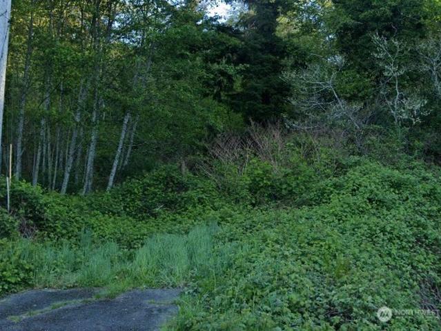 0 Cosgrove St, Hoquiam, WA 98550 | MLS #2403