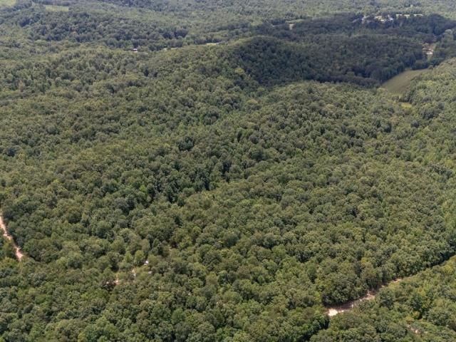0 Copperhead Ln, Olivehill, TN 38475 | MLS #2942